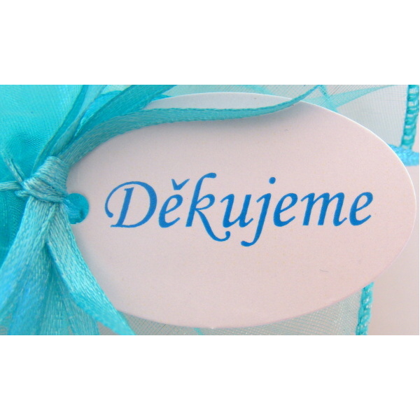 Visačka "děkujeme" tyrkysová - svatebnívýzdoba.cz